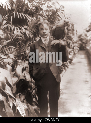 Theodore Roosevelt & Eli Yale [blue macaw] Stock Photo - Alamy