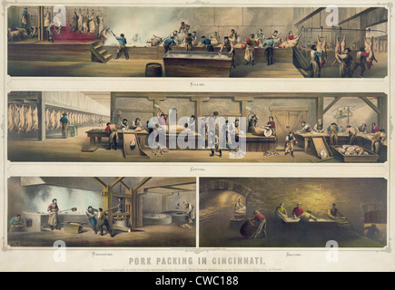 Pork packing house in Cincinnati, Ohio, 1873. Scene shows butchering of ...