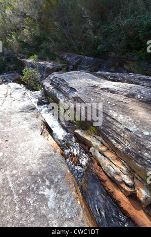 Winifred Falls, Royal National Park, Sydney NSW Australia Stock Photo ...