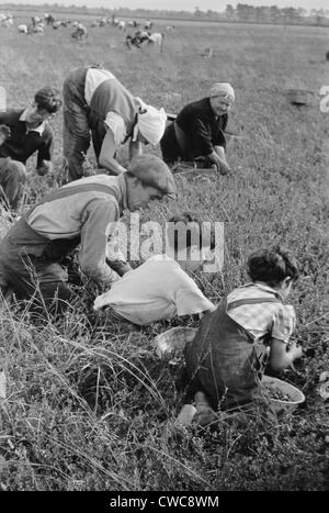 Family during the 1930s depression working class car ford model A ...