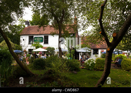 The Bush Inn at Ovington. Hampshire. England. UK Stock Photo - Alamy