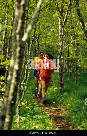 Two trail runners run along the forest amidst tall pine trees Stock ...