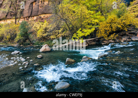 Small Rapids on the Virgin River Stock Photo - Alamy