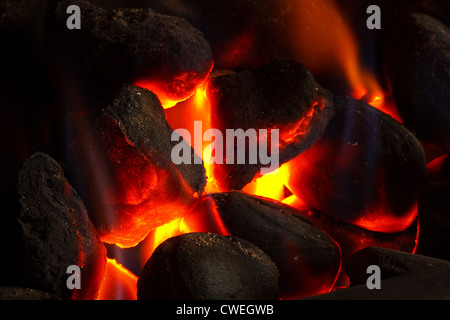 Cosy coal-effect gas fire within brass surround and showing a brass ...