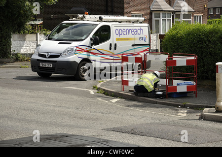 BT, British Telecom, maintenance, vehicle, van, purple colour, 2019 ...