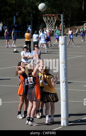 Girls playing netball at Lapstone in the Blue Mountains Stock Photo - Alamy