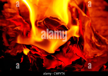 Old paperwork burning in a fire Stock Photo: 50137885 - Alamy