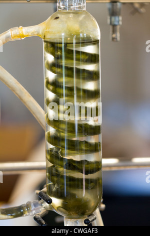 A Liebig condenser for the distillation of water, alcohol, etc. From ...