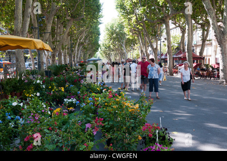 Beziers Flower Market, Allee Paul Riquet, Languedoc, France Stock Photo ...