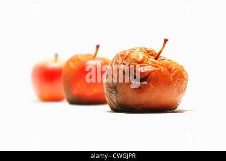 Stages of decay. A rotting Apple Stock Photo - Alamy