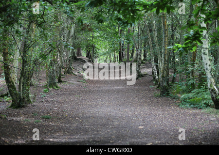 Buchan Country Park West Sussex Stock Photo - Alamy
