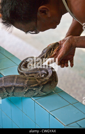YADANA LABAMUNI HSU TAUNG PYE PAYA or the SNAKE PAGODA in PALEIK is ...