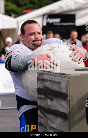 Man competing in a strongman contest lifts a very heavy Atlas Stone ...
