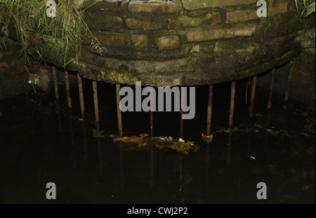 River Idle Retford park England Springtime Stock Photo - Alamy