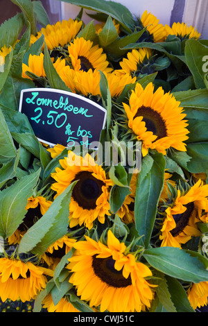 Sunflowers for sale Stock Photo - Alamy