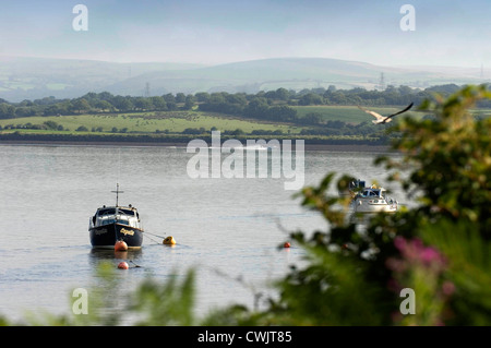 The Loughor Estuary near Llanelli in South West Wales Stock Photo - Alamy