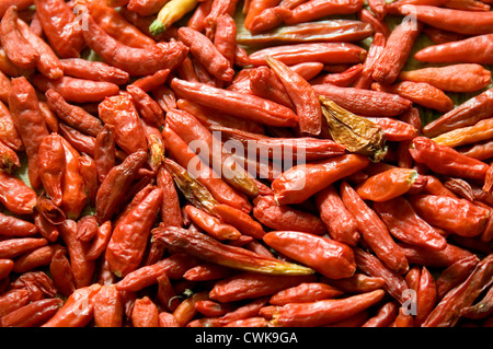 Tiny Philippine Chili called Labuyo Stock Photo - Alamy