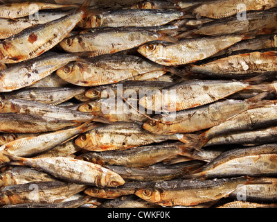 dried fish pile in Asian market in Malaysia Stock Photo - Alamy