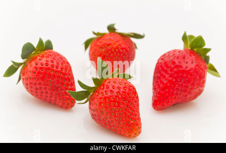 Bright red strawberries against a white coloured background Stock Photo ...