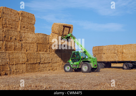 Straw Bale Stacking on Trailer of Tractor in Stubble Field Bekes County ...