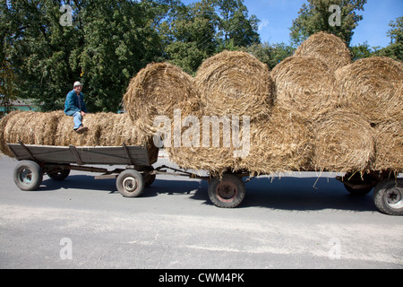 Man carrying a load of hay on a pole across his shoulders in Orissa ...