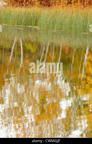 Autumn reflections in Vermilion River (McCharles Lake), Greater Sudbury ...