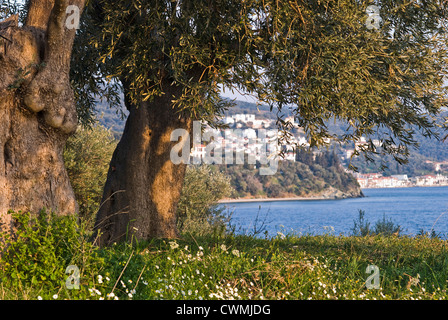 Village of Afissos at the Pagasitic Gulf (Pelion peninsular, Thessaly ...