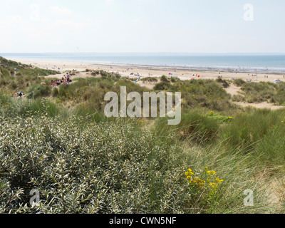 Braunton Burrows National Nature Reserve and UNESCO Biosphere Reserve ...