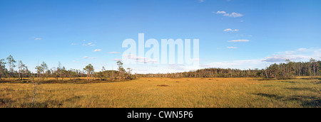 Panorama of the northern taiga river. Summer water landscape of the ...