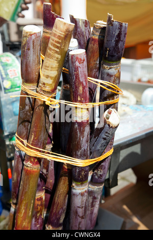 Sugar Cane Bundle Stock Photo - Alamy