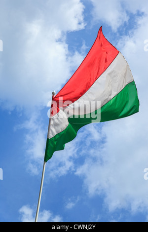 Flag of Hungary. Vertical flag, against blue sky with place for your ...