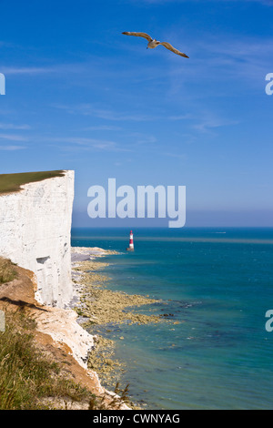 Beachy Head cliffs and lighthouse Stock Photo - Alamy