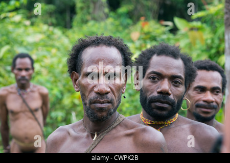 The group Portrait Korowai people on the natural green forest ...