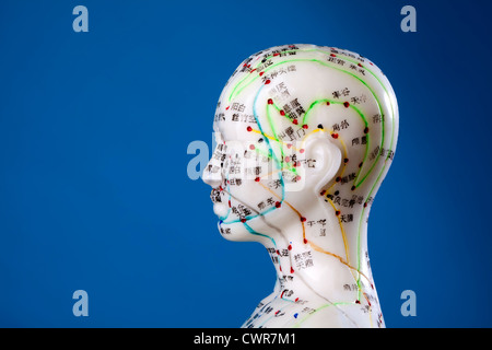 A female model with marked acupuncture points, Chinese characters on ...