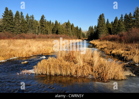 Jackfish Creek, Riding Mountain National Park, Manitoba, Canada Stock ...