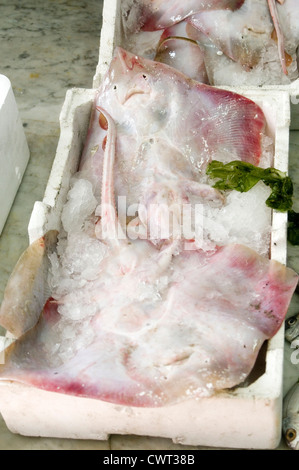 skate flat fish flatfish fishes on ice fishmonger wing wings Stock ...