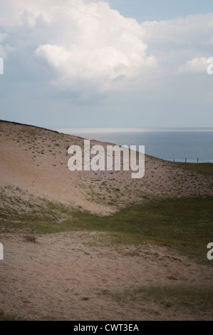 Sandy moor, rich in lime,is a valuable biotope with rare plants Stock ...