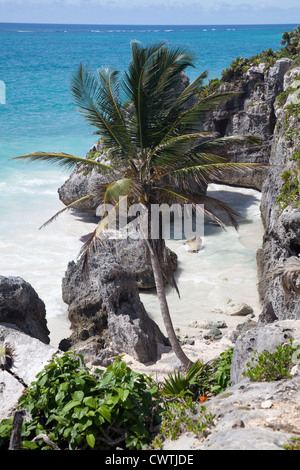 Beach Tulum Yucatan Mexico Central America Stock Photo - Alamy