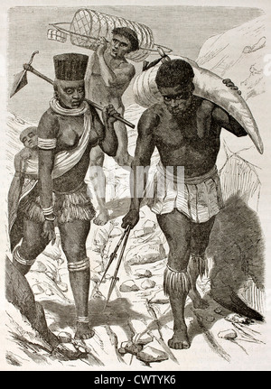 Illustration and artwork of the ancient African bear Agriotherium ...