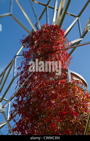 Framework with Autumn yellow, orange and red vegetables and fruits on ...