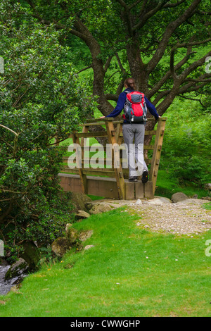 Wooden Bridge in Dovedale Stock Photo - Alamy