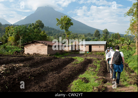Volcano Mount Mikeno, Virunga National Park, DR Congo Stock Photo - Alamy
