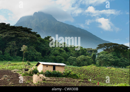 Homesteads at the base of Volcano Mount Mikeno, Virunga National Park ...