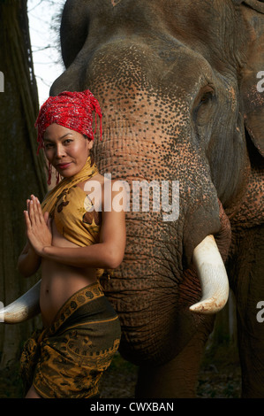 Elephant woman forest traditional animal travel nature rural Asian ...