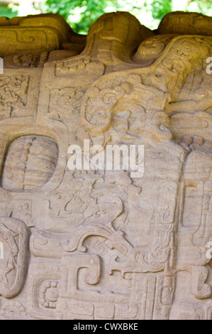 Stelae stela petroglyph tablet in Quirigua Archaeological Park, UNESCO ...