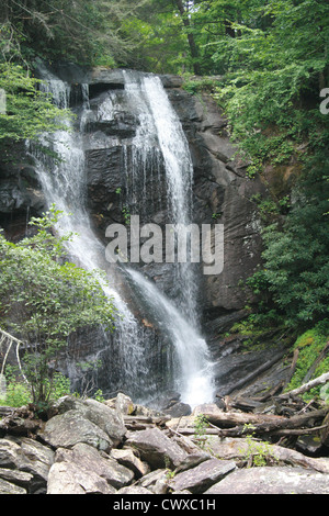 Landscape of streams and forests Stock Photo - Alamy