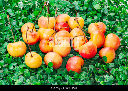 Pink pot with green juicy grass on the office desk Stock Photo - Alamy