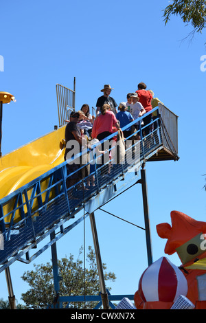 Children wait in line to ride the Brookfield Zoo's new carousel ...