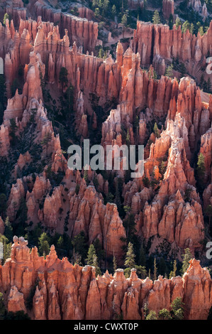 Bryce Canyon National Park hoodoos Stock Photo - Alamy