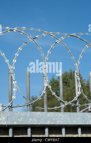 Looking up at coils of razor wire on top of a gate with metal spikes ...